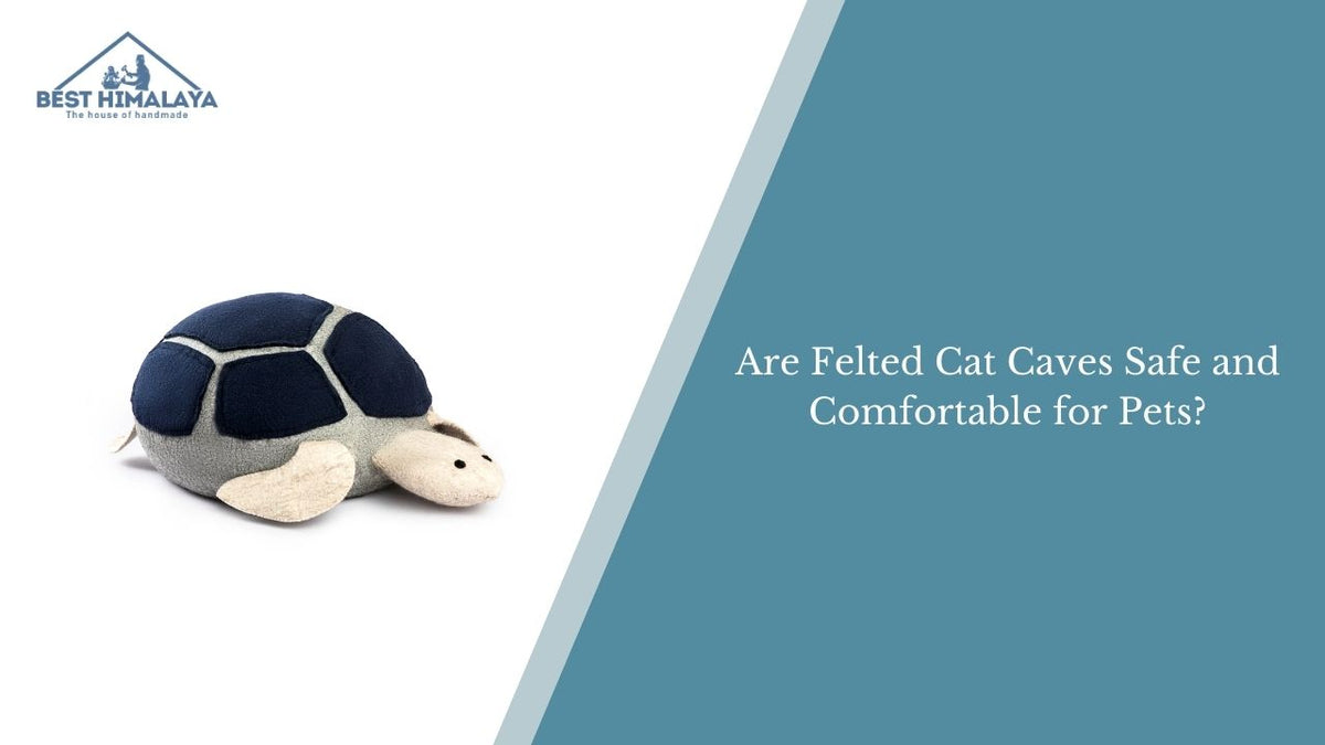 Are Felted Cat Caves Safe and Comfortable for Pets?– Best Himalaya
