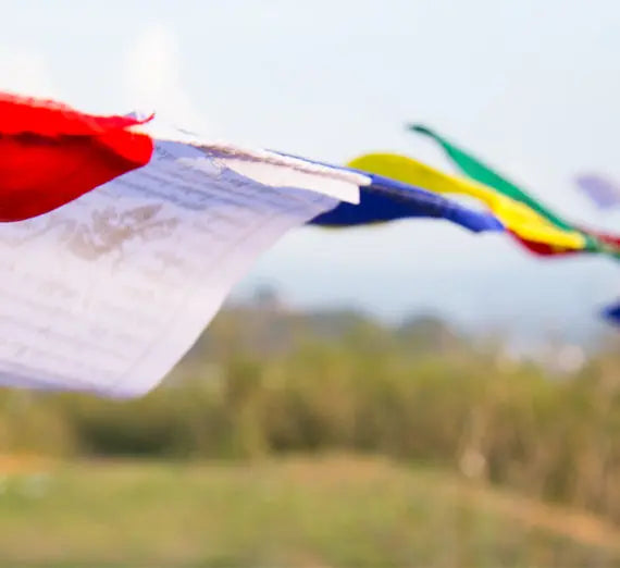 Large Prayer Flag - Tibetan Buddhist Prayer Flag for Outdoor Decor ...